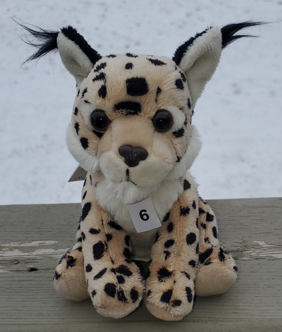 Lynx - 5" Baby-Safe Cuddle Cubs Plush by Charlie Bears – Artisanal ...